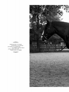 Delphi McNicol | the Fashion Spot